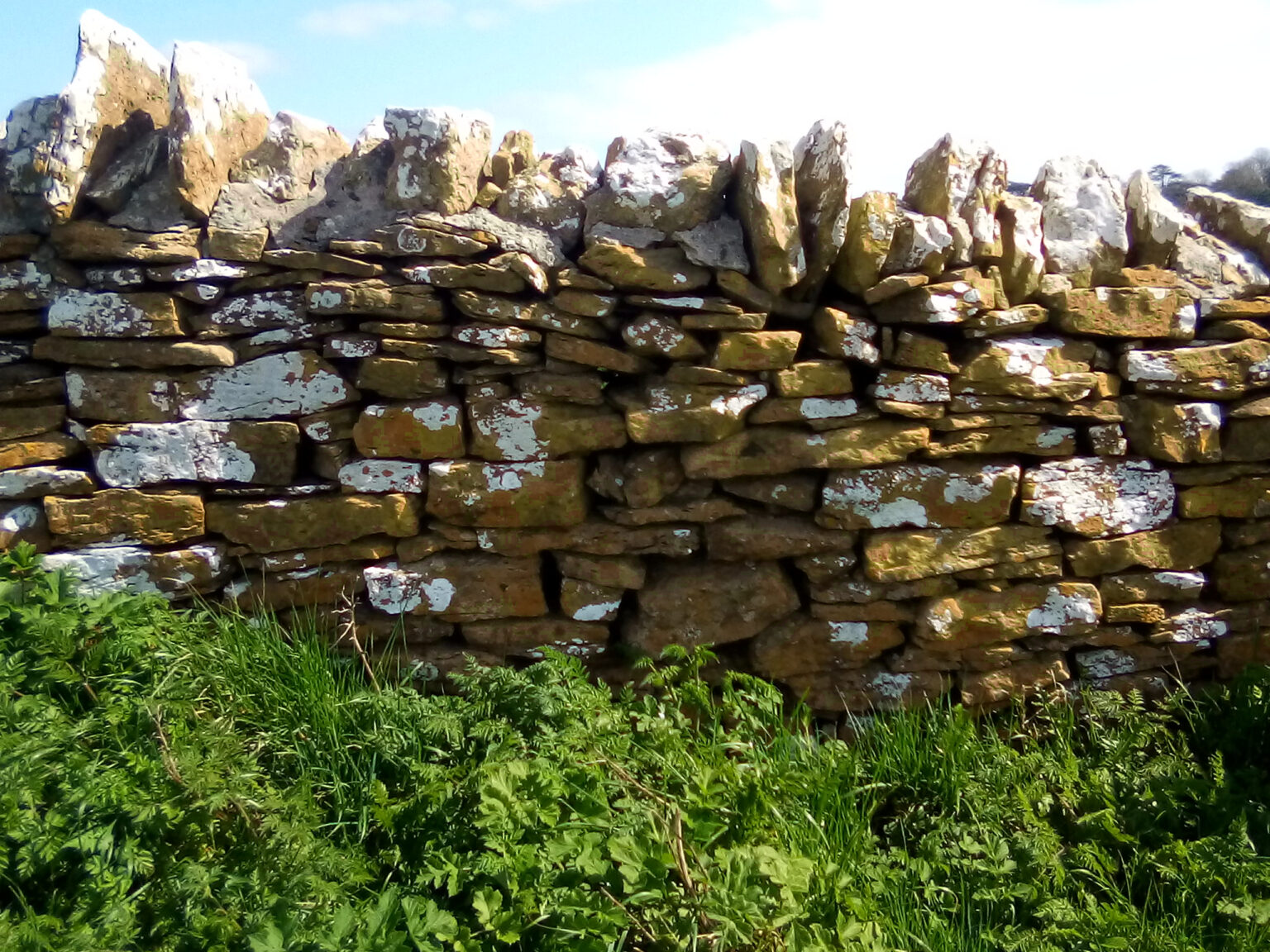 Walling Stone – Dorset DSWA
