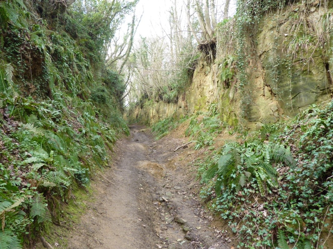 Walling Stone – Dorset DSWA