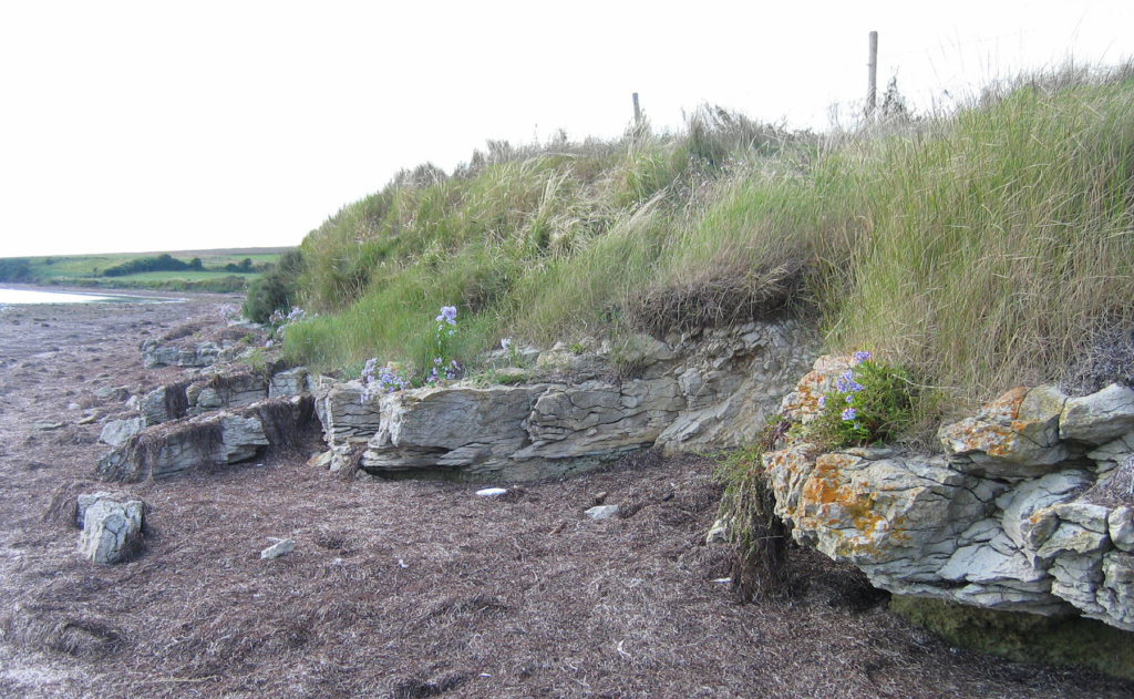 Walling Stone – Dorset DSWA